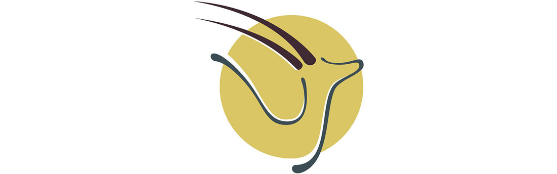 Call for Proposals – DOCAM 2026 - University of Borås