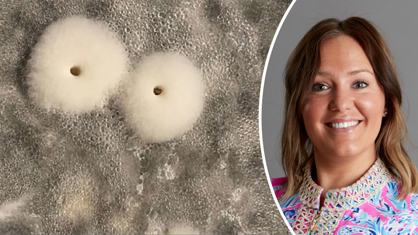 Interest in fungi-based food can increase with a nudge in the right ...