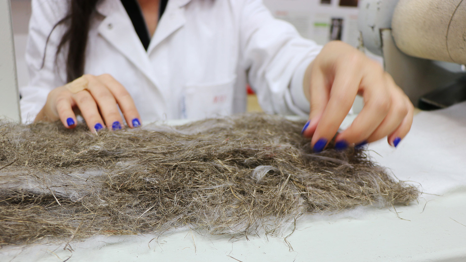 New research: How Swedish hemp can become a technical textile ...