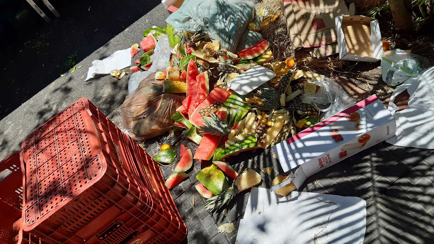 Expert assignment to reduce unnecessary food waste in Brazilian street ...